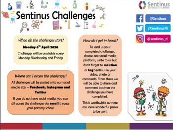 Sentinus Challenges - St Brigids Primary School