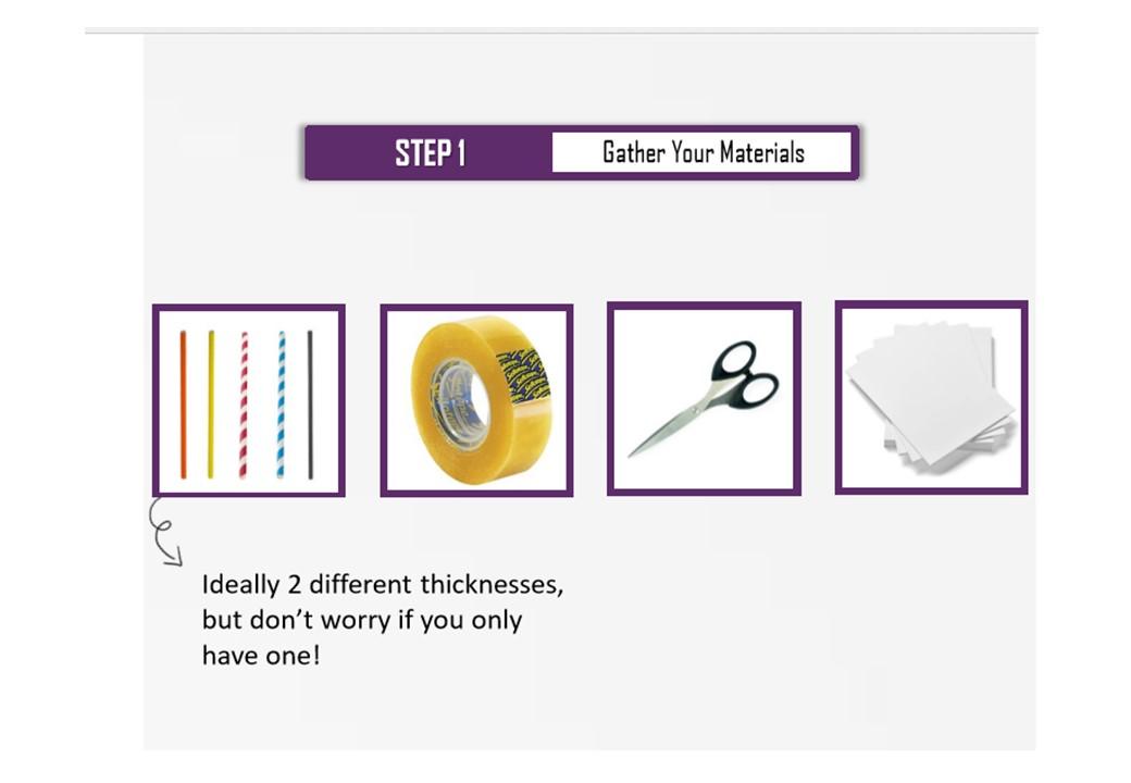 Wednesday's Sentinus Challenge - St Brigids Primary School