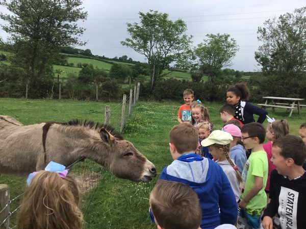 Year 4, 5 & Class A Trip to Sperrin Fun Farm - St Brigids Primary School