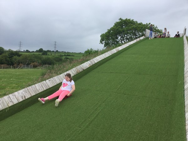 Year 4, 5 & Class A Trip to Sperrin Fun Farm - St Brigids Primary School