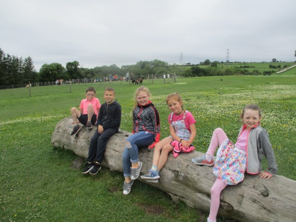 Year 4, 5 & Class A Trip to Sperrin Fun Farm - St Brigids Primary School