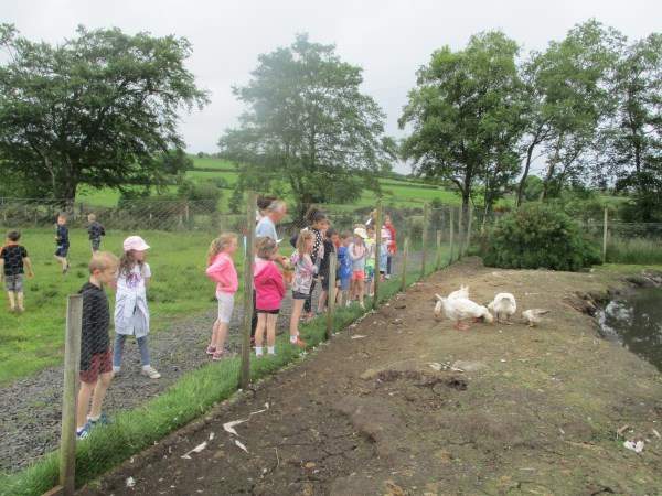 Year 4, 5 & Class A Trip to Sperrin Fun Farm - St Brigids Primary School