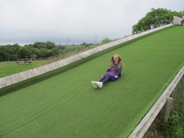 Year 4, 5 & Class A Trip to Sperrin Fun Farm - St Brigids Primary School