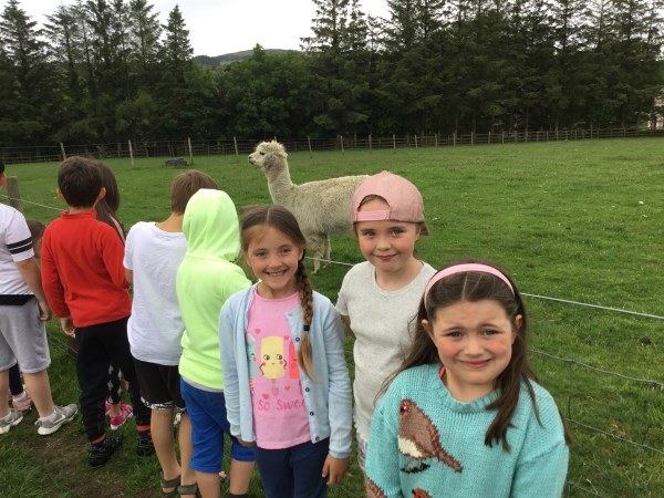 Year 4, 5 & Class A Trip to Sperrin Fun Farm - St Brigids Primary School
